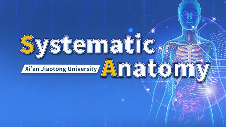 课程 - 国家高等教育智慧教育平台