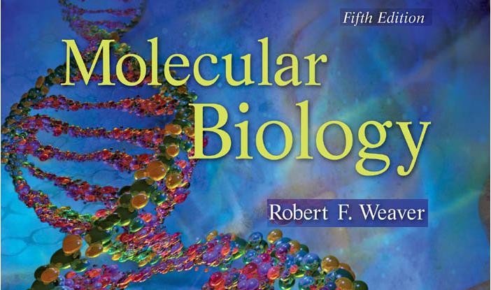 课程 - 国家高等教育智慧教育平台