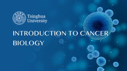 课程 - 国家高等教育智慧教育平台