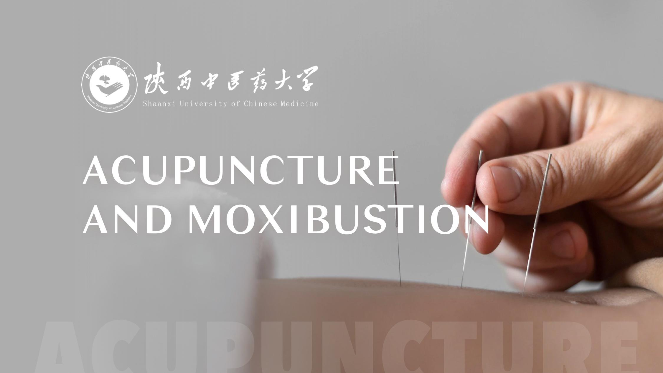 课程 - 国家高等教育智慧教育平台