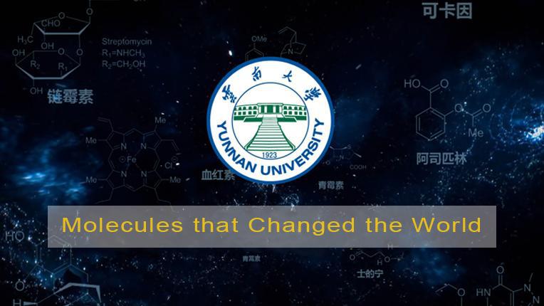课程 - 国家高等教育智慧教育平台