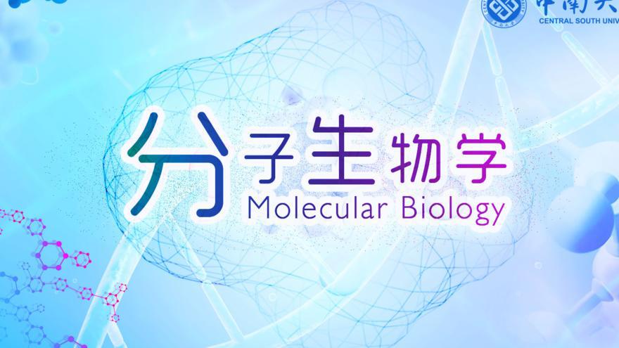 课程 - 国家高等教育智慧教育平台